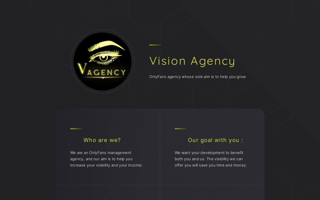 Vision Agency